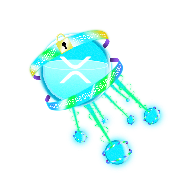 Learn Blockchain Coding on XRP Ledger | XRPL Learning Portal