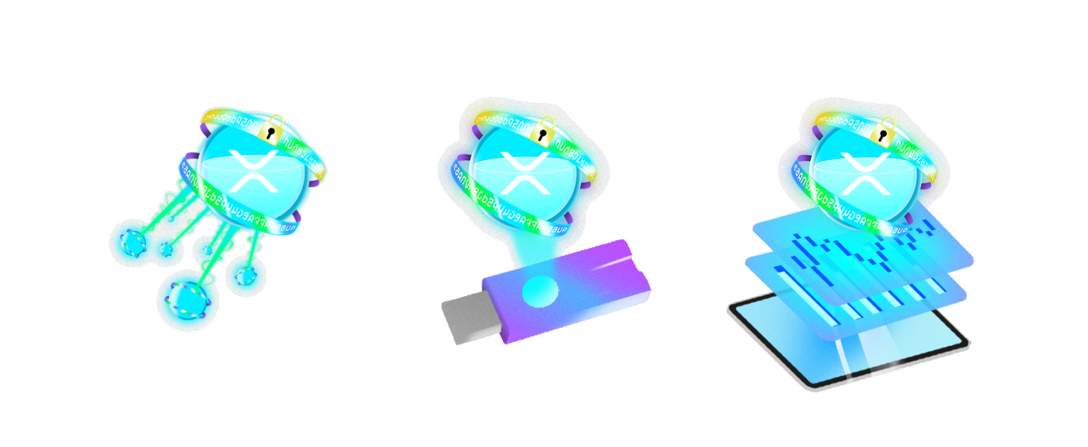 Choosing the Right Wallet for XRP Payments - XRP Ledger | Learning Portal